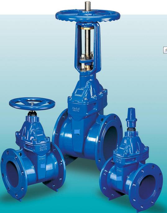 DN700 RSV Ductile Iron Gate Valve With PN16 Pressure Rating SABS 664 ...